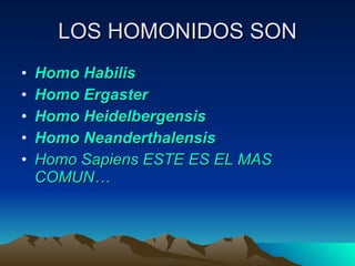 Herrer Katherine Procesodehumanizacion | PPT