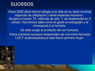 Herrer Katherine Procesodehumanizacion | PPT