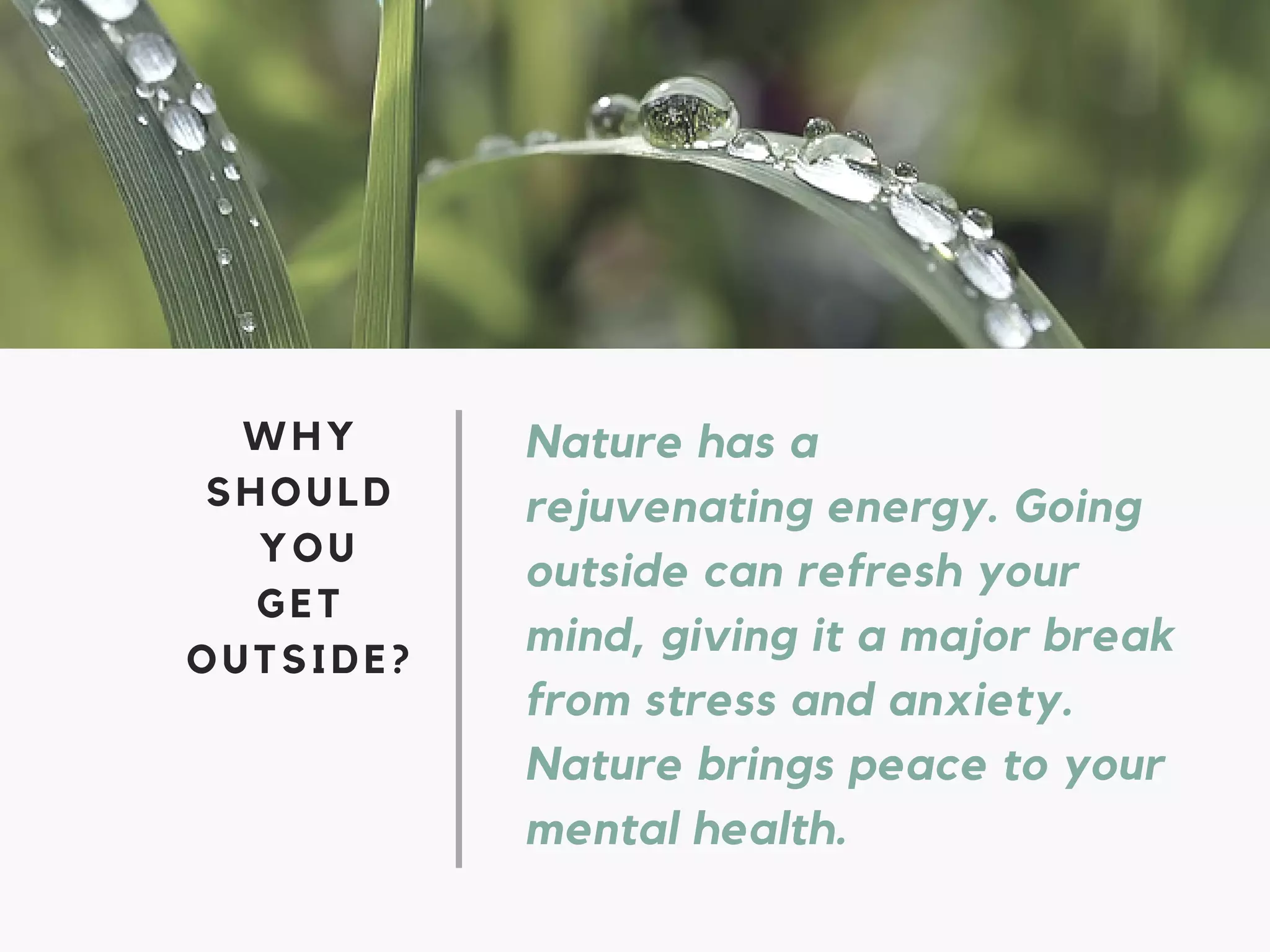 The Mental Health Benefits of Emerging Yourself in Nature | PDF