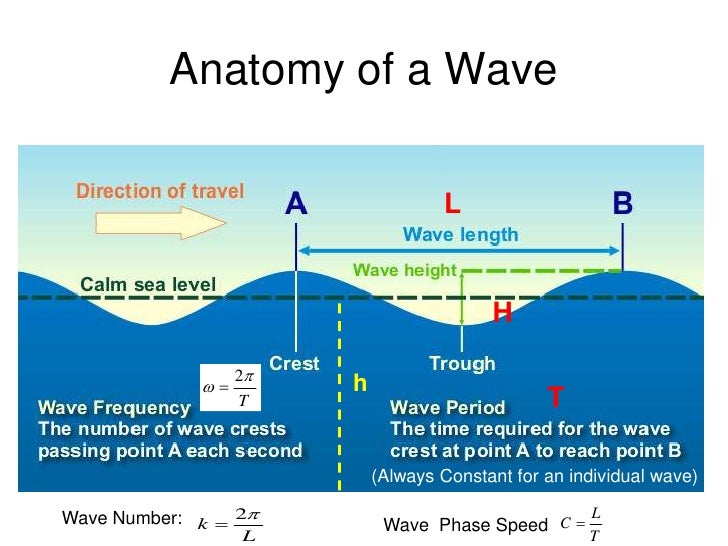 Anatomy Of A Wave L Anatomy Of A Wave L