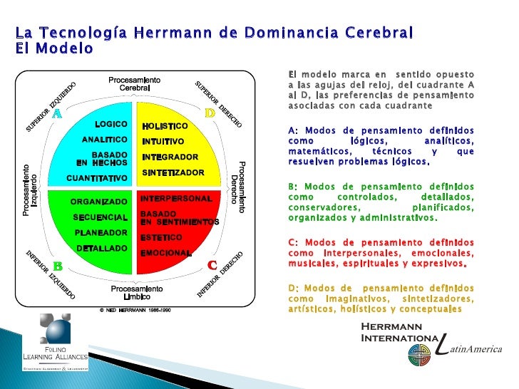 Herrmann Technology The Brain Dominance