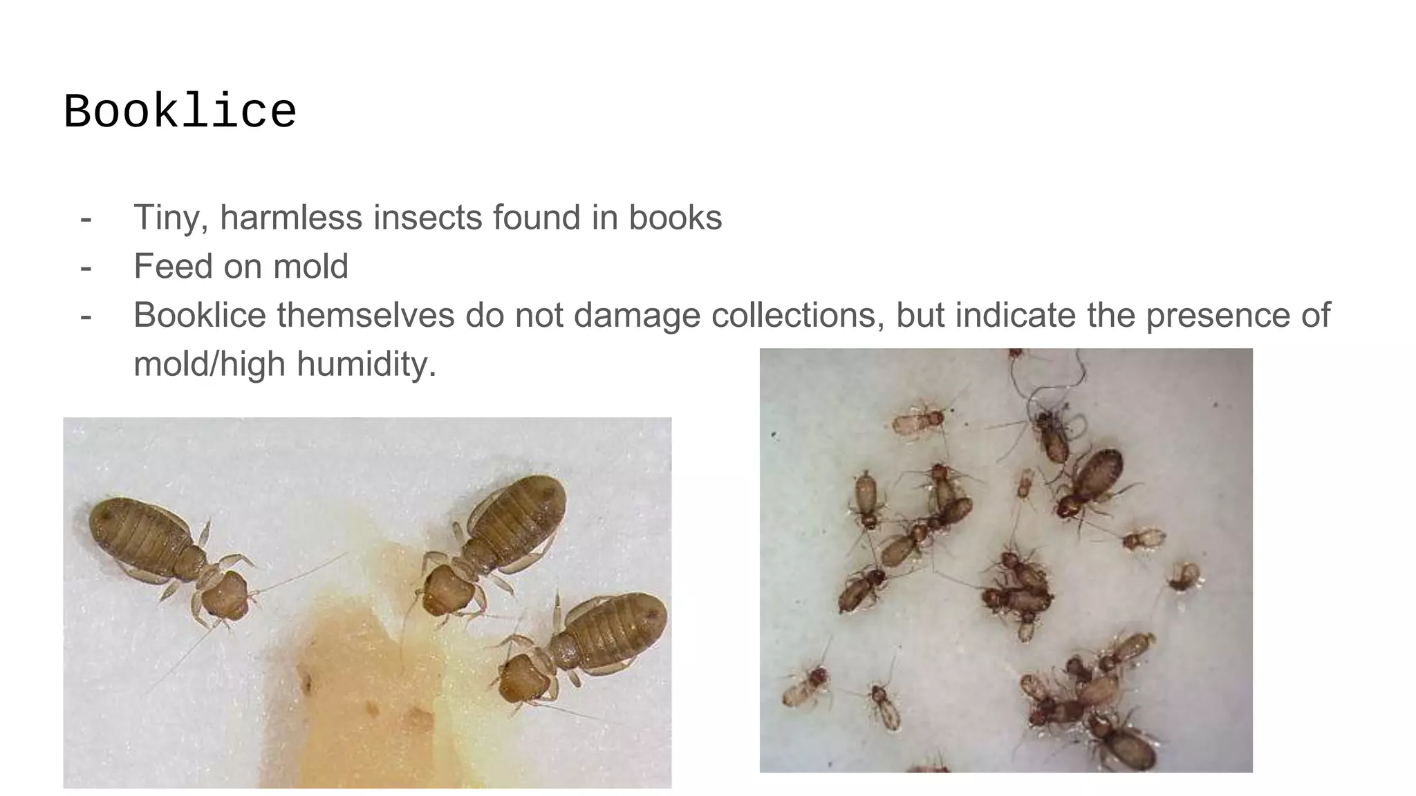 Herron - Integrated Pest Management.pptx