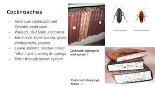 Herron - Integrated Pest Management.pptx