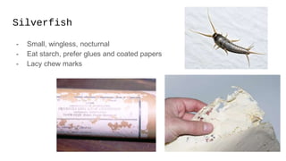 Herron - Integrated Pest Management.pptx