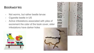 Herron - Integrated Pest Management.pptx