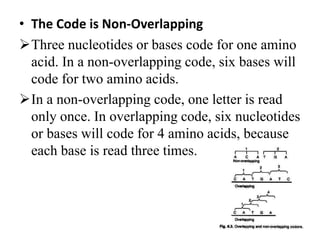 Hershey and chase | PPTX