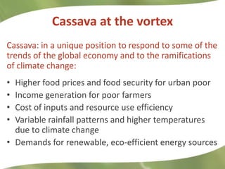 Cassava at CIAT | PPT