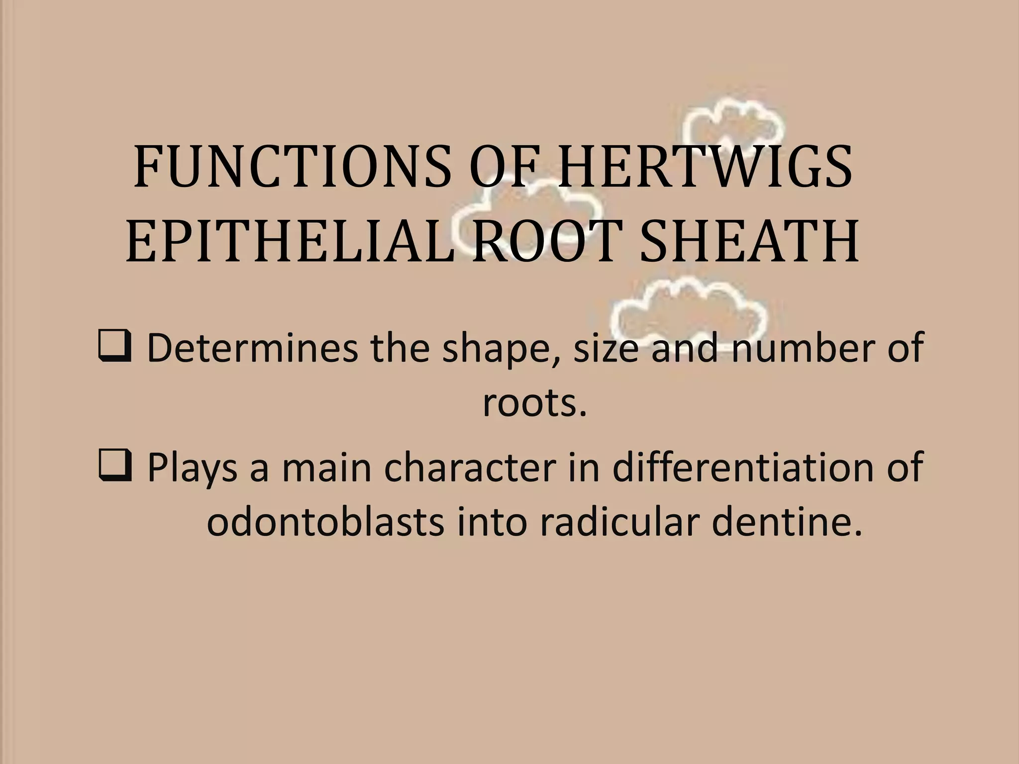 HERTWIG’S EPITHELIAL ROOTH SHEATH | PPTX
