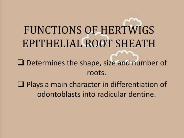 HERTWIG’S EPITHELIAL ROOTH SHEATH | PPTX
