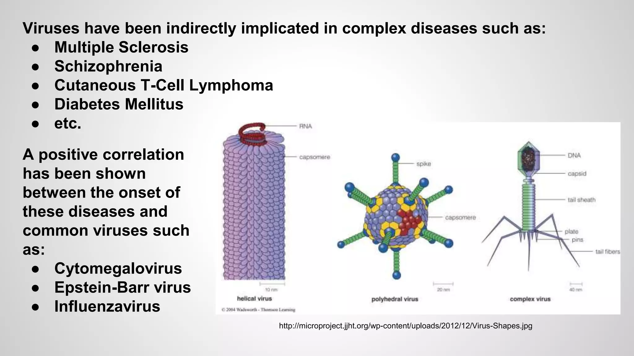 Human Endogenous Retrovirus (power point) | PPT