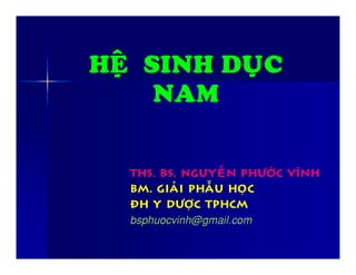 HỆ SINH DỤC NAM | PDF