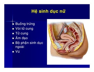 HỆ SINH DỤC NỮ | PDF