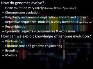 Banana Transposable Elements: The hAT DNA element story PAGXXIII | PPTX ...