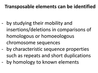 Banana Transposable Elements: The hAT DNA element story PAGXXIII | PPTX