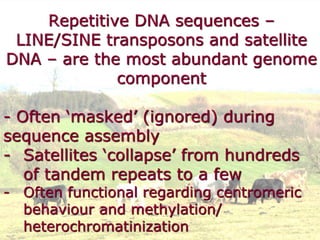 Tandem Repeats and Satellite DNA in Bovideae - Colloquium on Animal ...