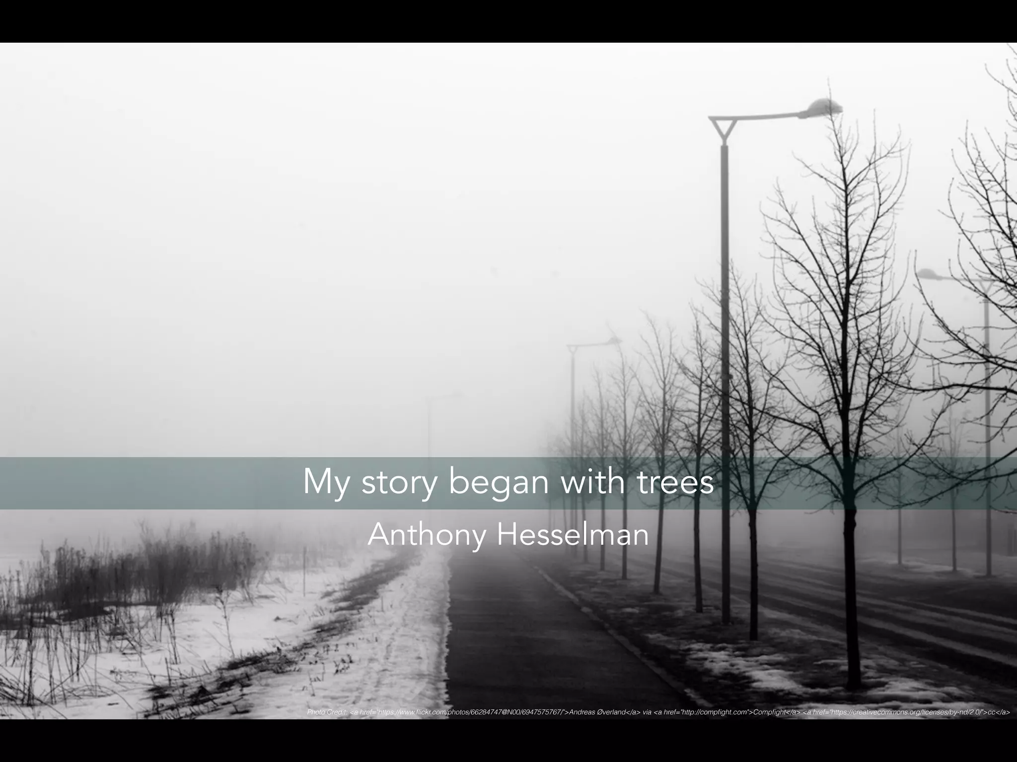 Personal Persona Project | PDF