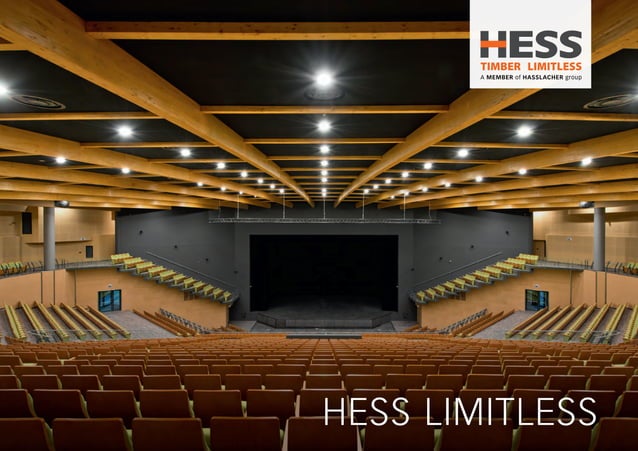 HESS LIMITLESS | PDF