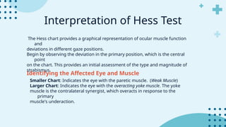 Hess Screen Test Explained: Methodology, Applications & Clinical ...