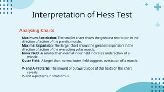 Hess Screen Test Explained: Methodology, Applications & Clinical ...