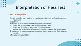 Hess Screen Test Explained: Methodology, Applications & Clinical ...