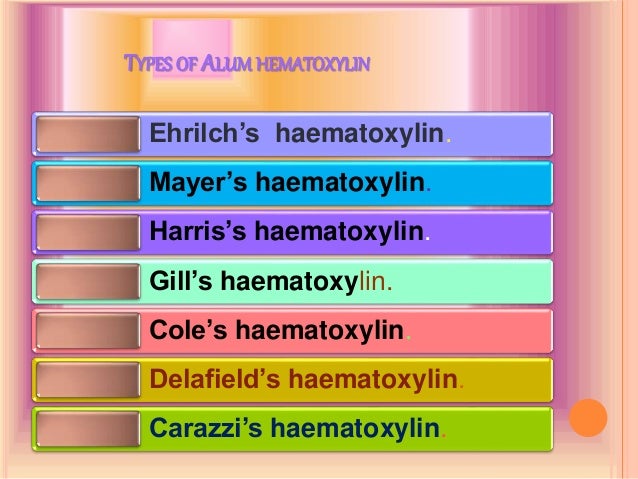 Hematoxylin and eosin staining complete guide.