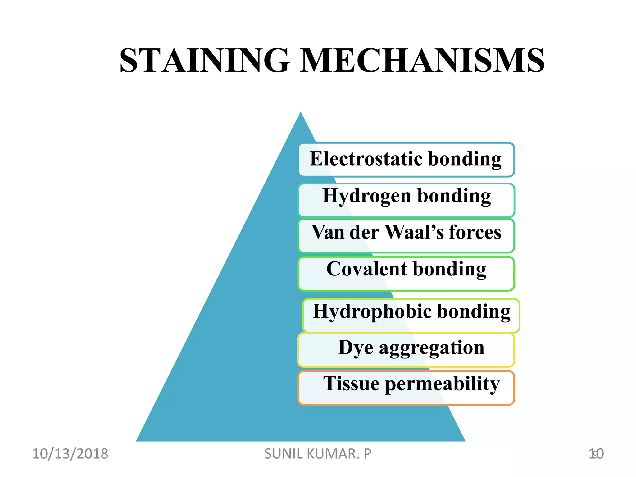 Hematoxylin and Eosin Staining (H& E Staining) | PPTX