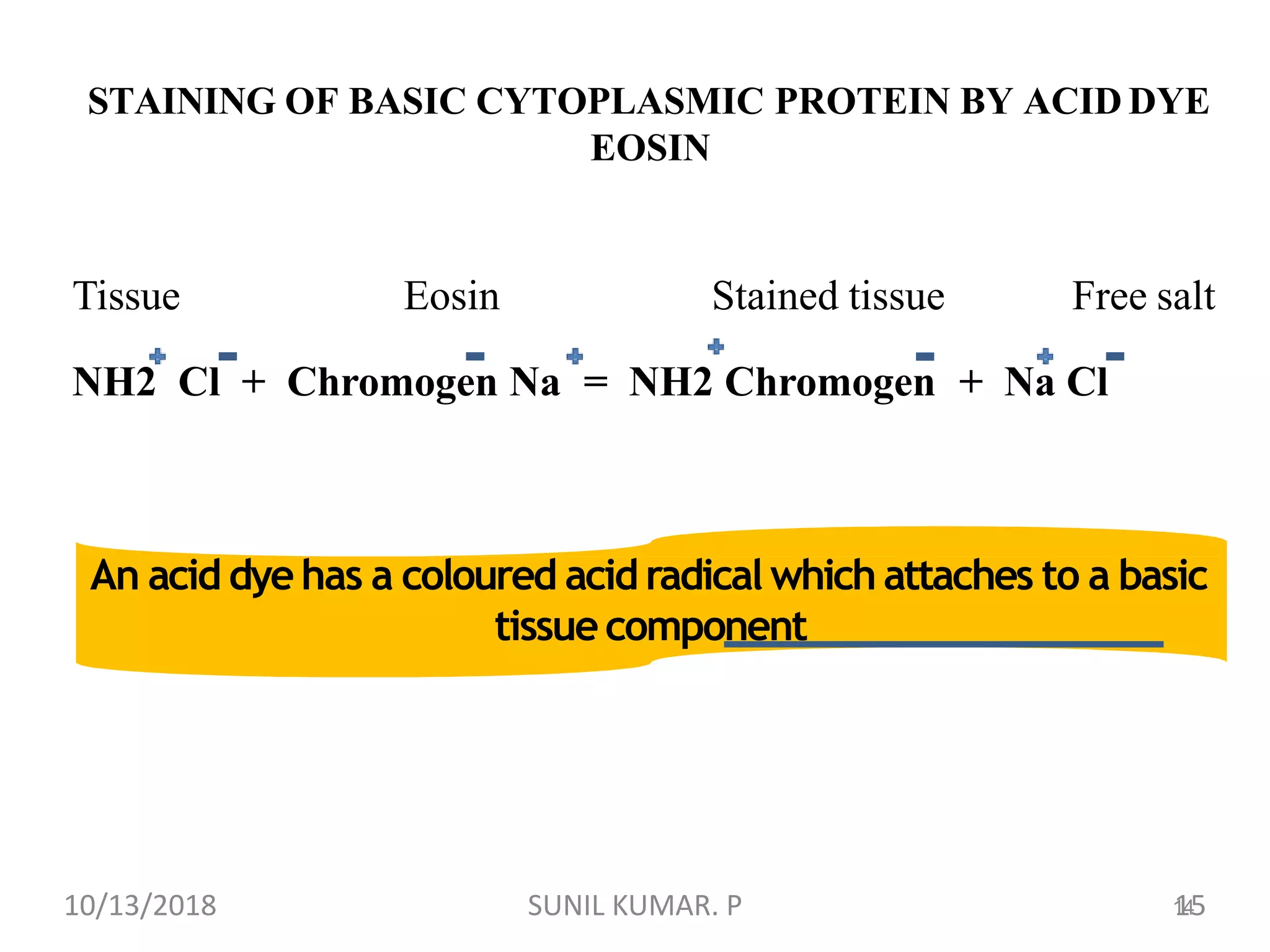 Hematoxylin and Eosin Staining (H& E Staining) | PPTX