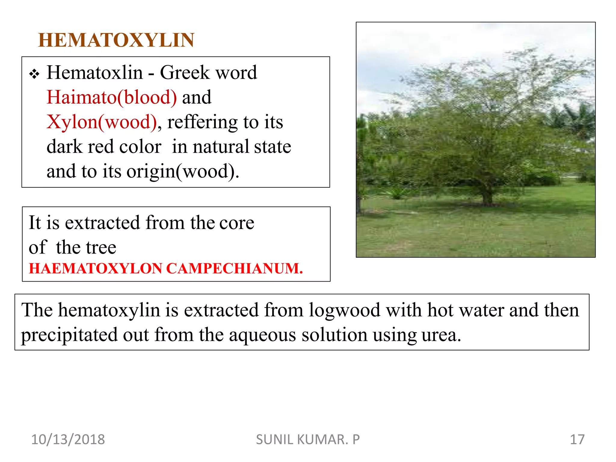 Hematoxylin and Eosin Staining (H& E Staining) | PPTX