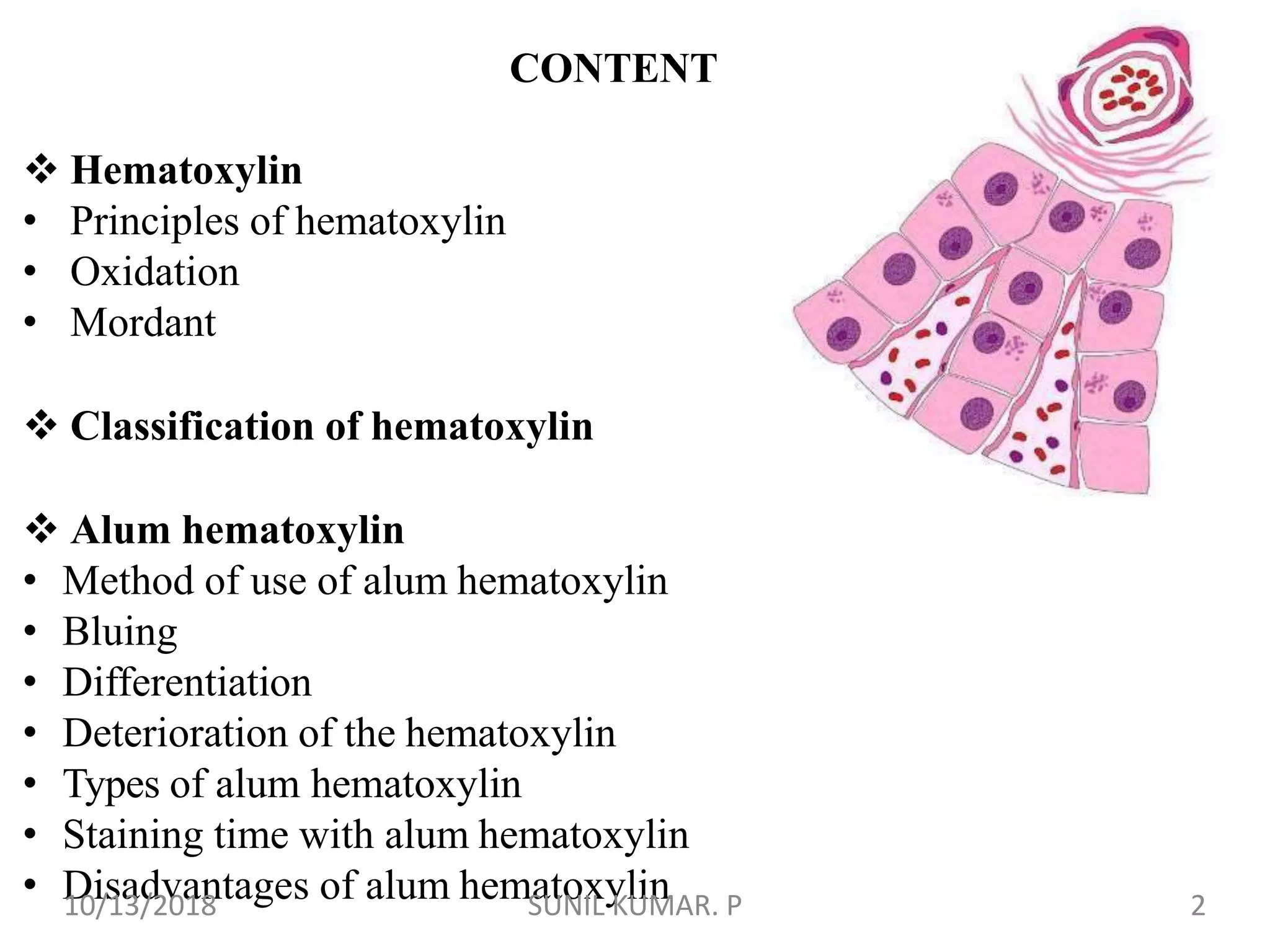 Hematoxylin and Eosin Staining (H& E Staining) | PPTX