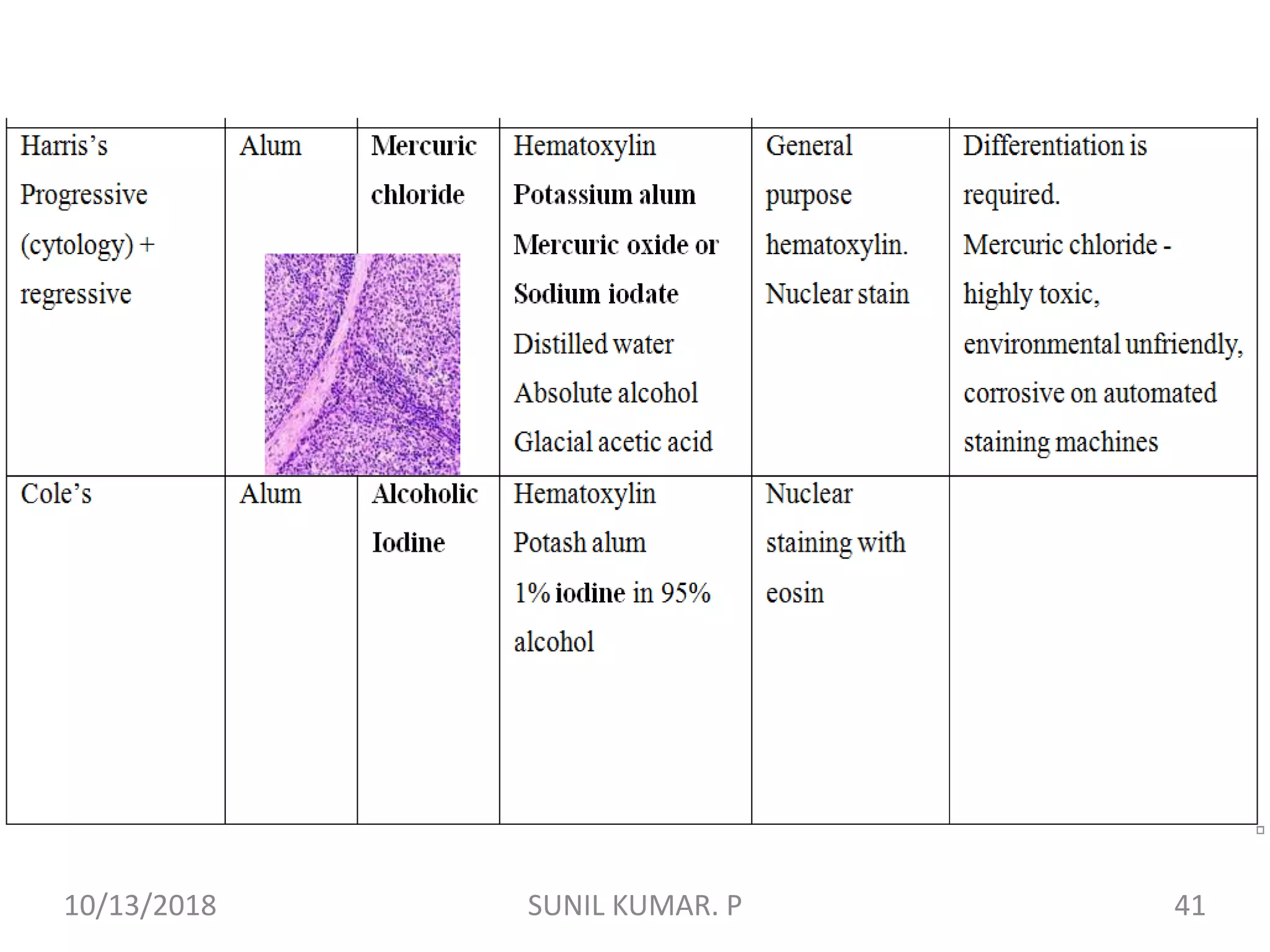 Hematoxylin and Eosin Staining (H& E Staining) | PPTX | Blood Disorders | Diseases and Conditions