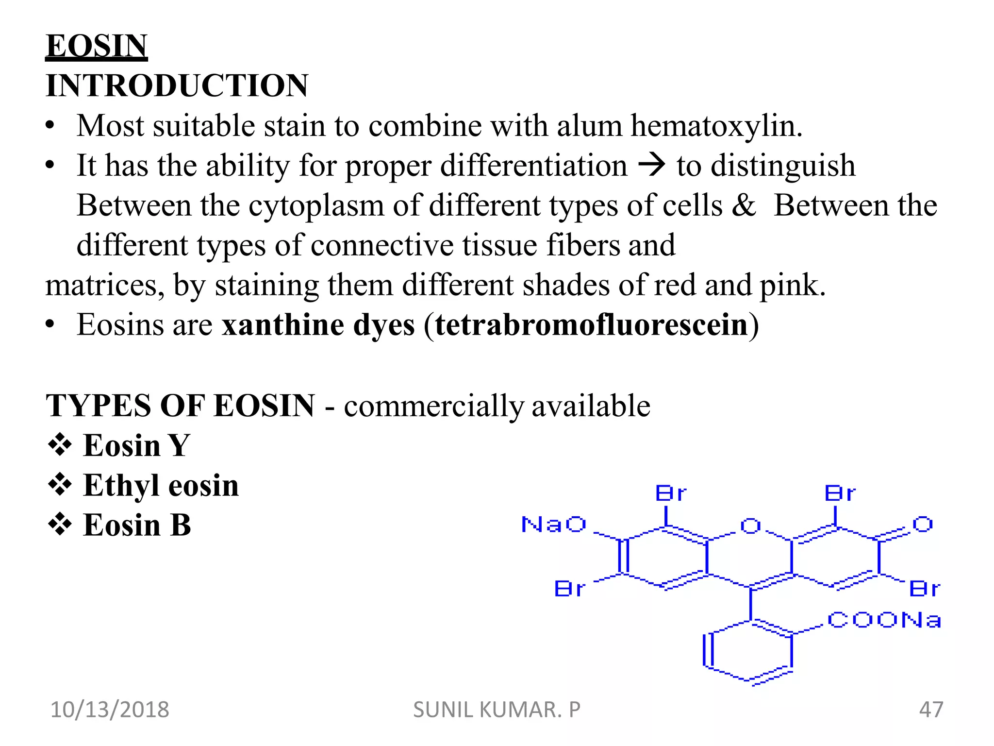 Hematoxylin and Eosin Staining (H& E Staining) | PPTX | Blood Disorders | Diseases and Conditions