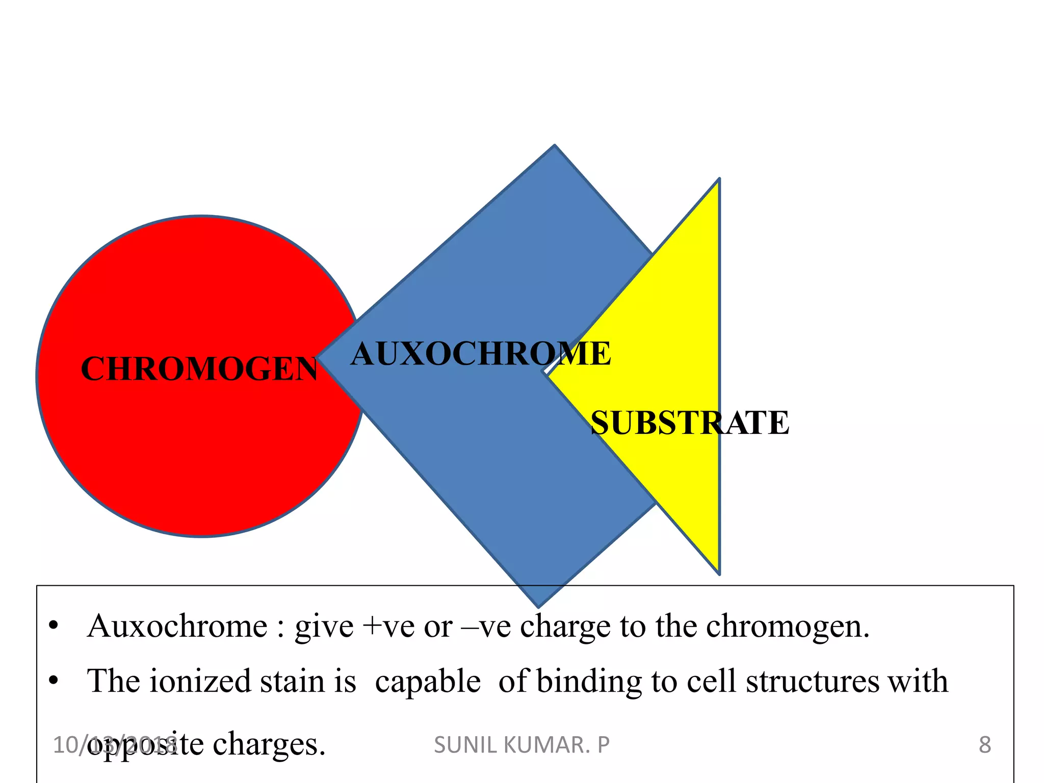 Hematoxylin and Eosin Staining (H& E Staining) | PPTX