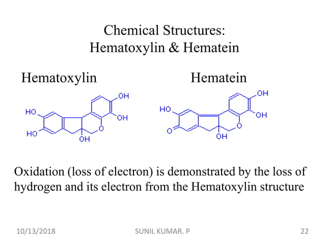 Hematoxylin and Eosin Staining (H& E Staining) | PPTX | Blood Disorders | Diseases and Conditions
