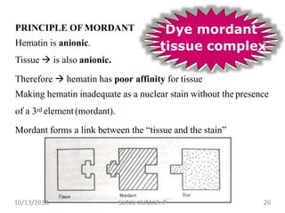 Hematoxylin and Eosin Staining (H& E Staining) | PPTX