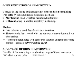 Hematoxylin and Eosin Staining (H& E Staining) | PPTX