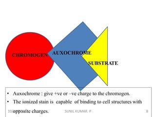 Hematoxylin and Eosin Staining (H& E Staining) | PPTX