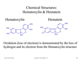 Hematoxylin and Eosin Staining (H& E Staining) | PPT