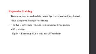 H&E Staining kkkkk in dental implanted pro | PPTX