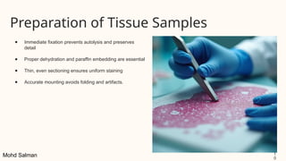 H&E Staining Procedures | Preparation, Steps, and Troubleshooting | PPTX