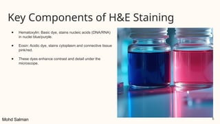 H&E Staining Procedures | Preparation, Steps, and Troubleshooting | PPTX