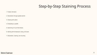 H&E Staining Procedures | Preparation, Steps, and Troubleshooting | PPTX