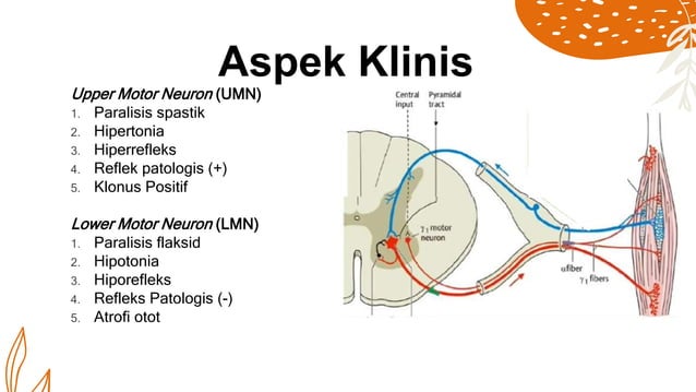 Sistem Ekstrapiramidal.pptx