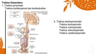 Sistem Ekstrapiramidal.pptx