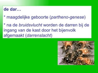 het Levende Woord | PPT