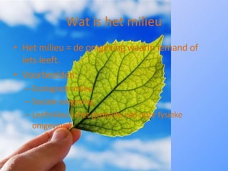Het Milieu | PPT