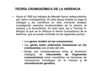 Presentación Tema 4. Genética | PPT
