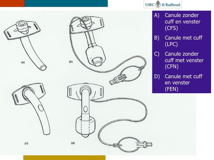 Sessie 1: Het canuleteam