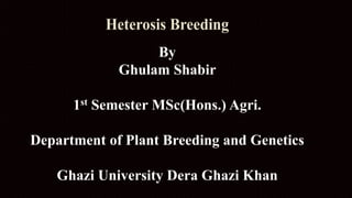 Heterosis | PPT