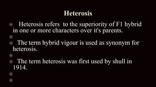 Heterosis | PPT