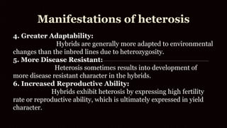 Heterosis | PPT